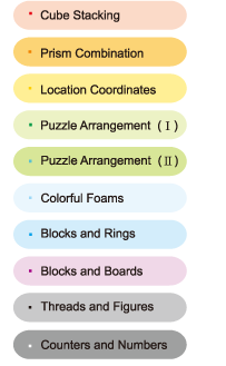 KMI Whole Brain Program